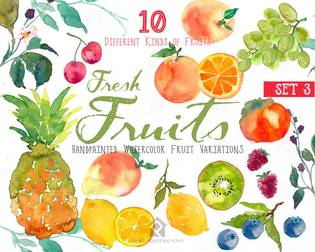 Fruits Watercolor Clipart - Watercolor Fruit, Clip Art, Instant ...