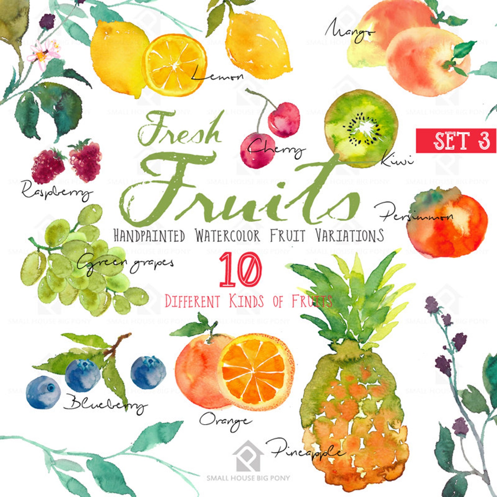 Fruits Watercolor Clipart Watercolor Fruit Clip Art - Etsy