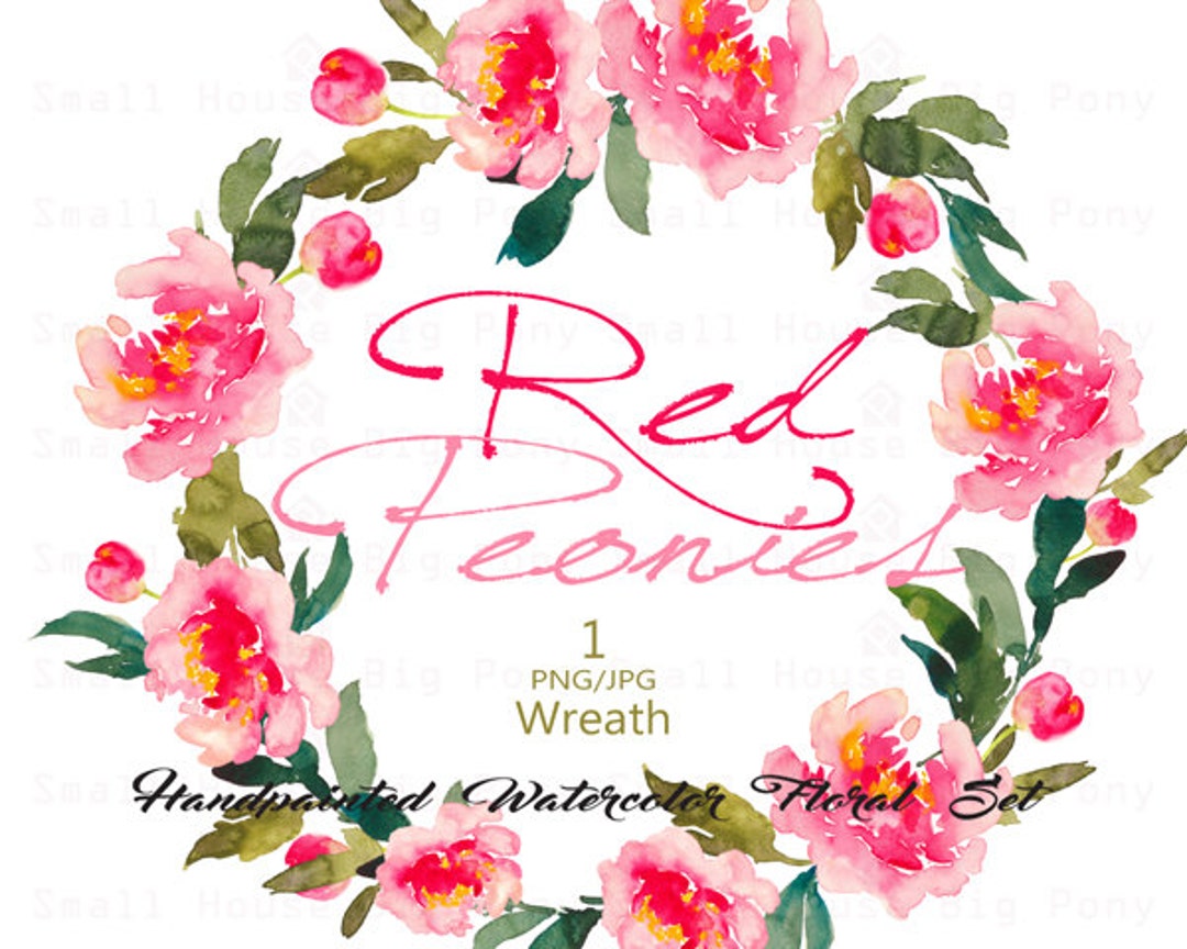 Digital Clipart- Watercolor Flower Clipart, Peonies Clip Art, Floral ...