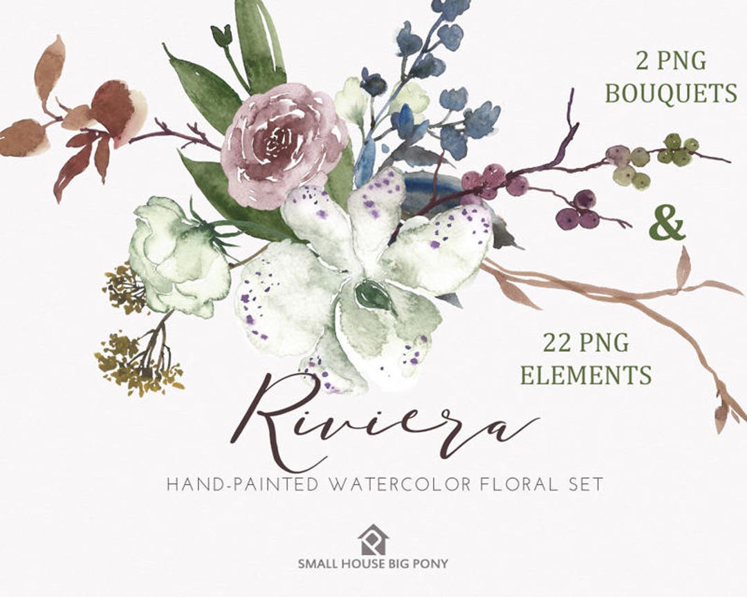 Watercolour Flower Clip Art Collection - Hand Painted Graphics, Hand ...