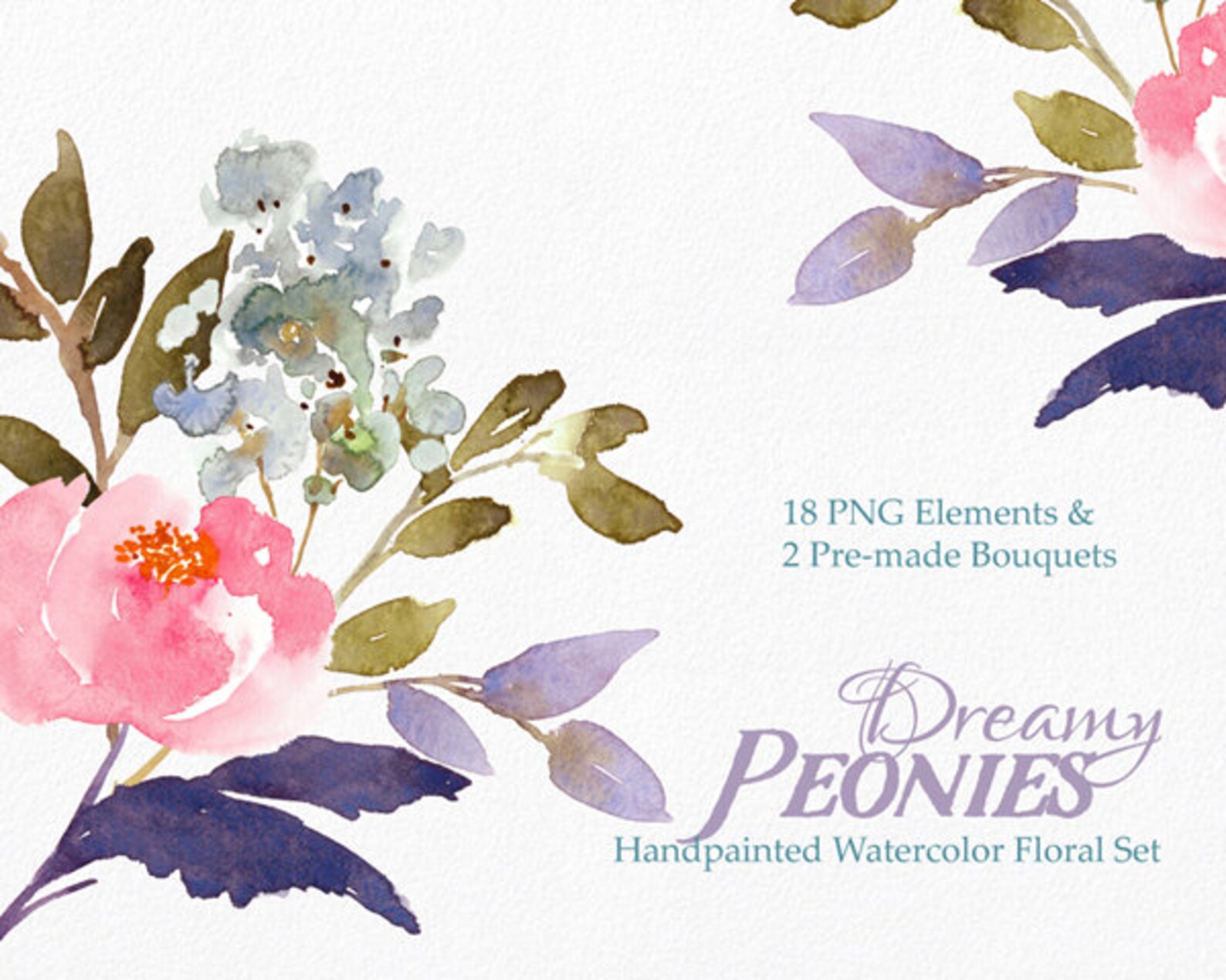 Digital Clipart Watercolor Flower Clipart peonies Clip art | Etsy