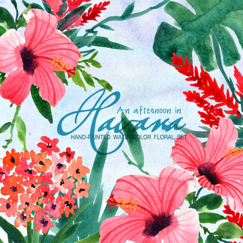 Flowers ,hand Painted Watercolor Clipart Clip Art -hibiscus, Tropical ...