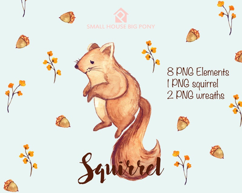 Digital Clipart- Watercolor Flower Clipart, Squirrel Clip Art, Floral ...