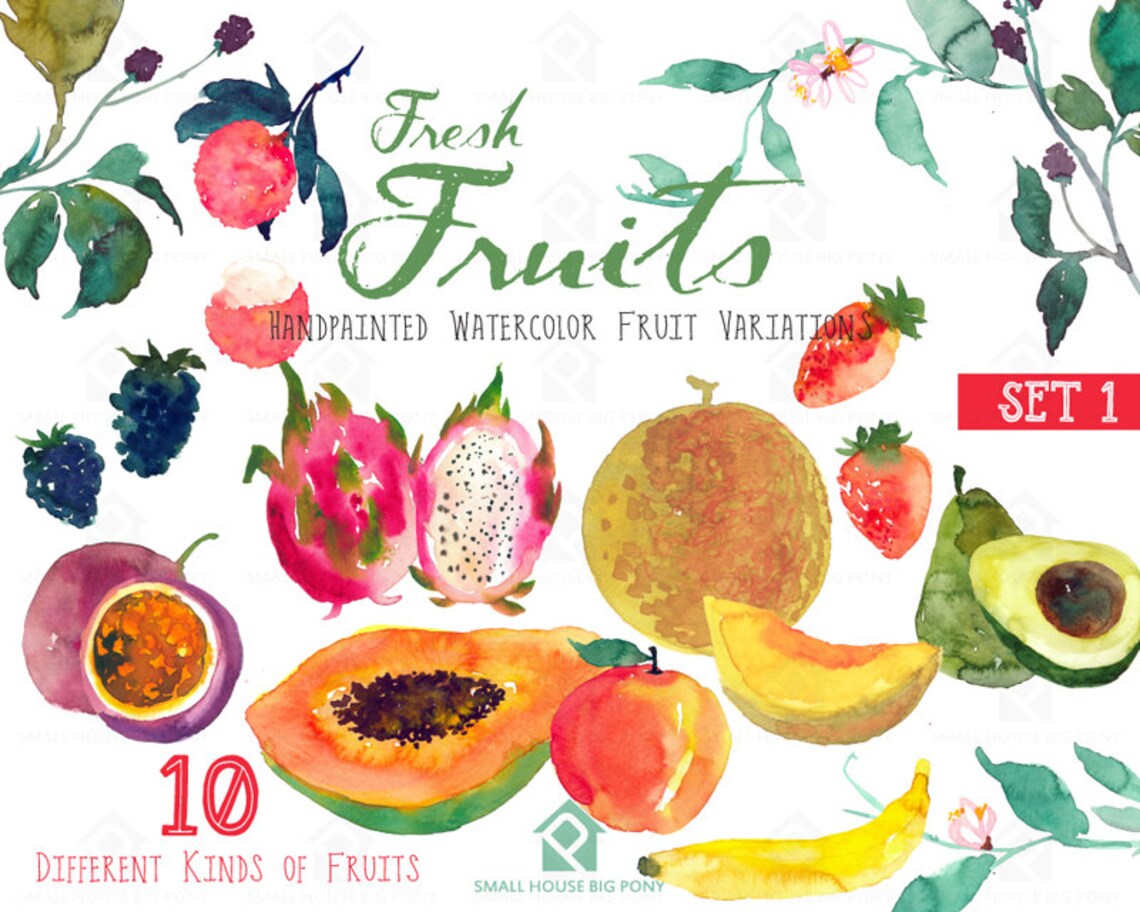 Fruits Watercolor Clipart Watercolour Fruit Painting Direct - Etsy