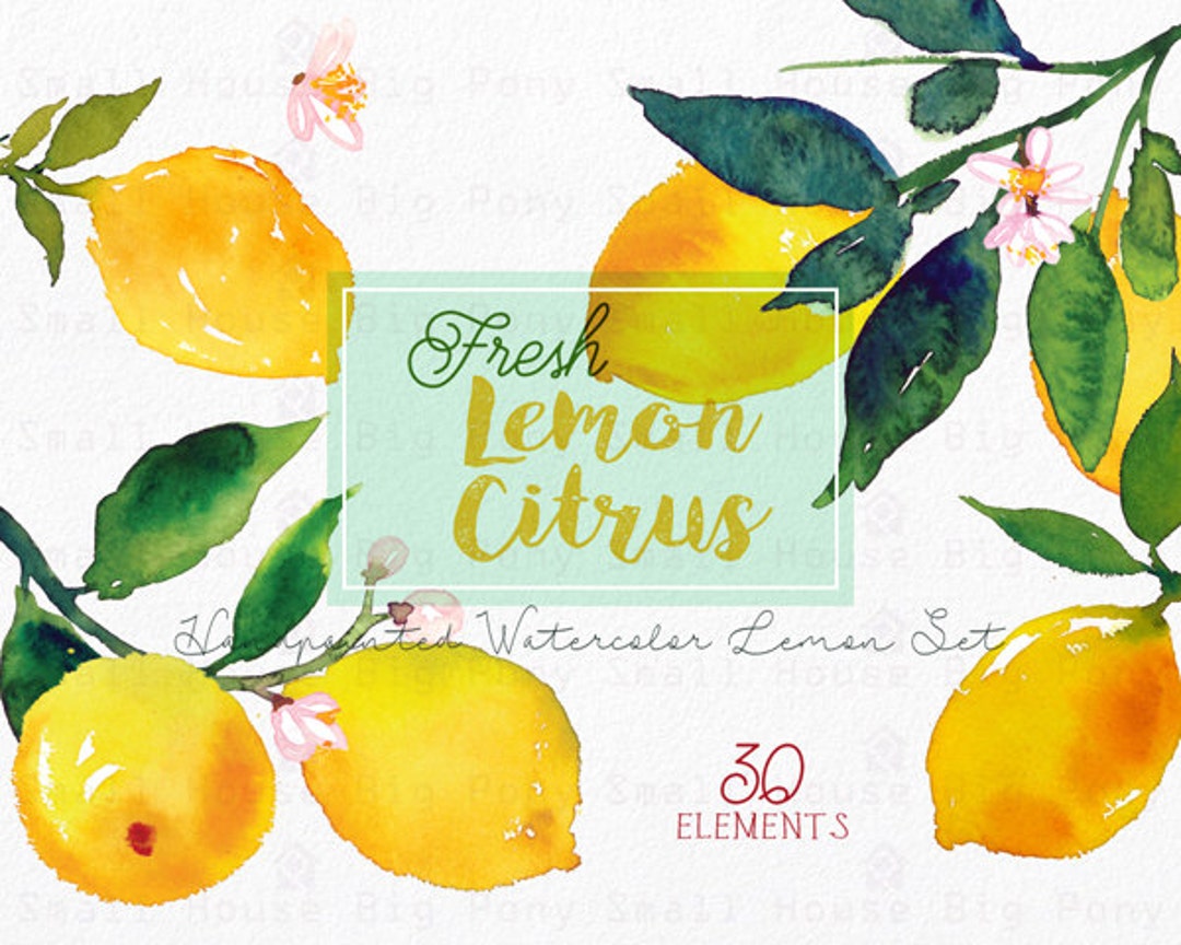 Lemon Watercolour Clipart Set. Handmade, Watercolour Clipart, Summer ...