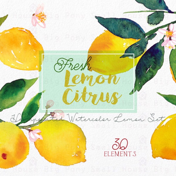 Fruit Watercolor - Etsy