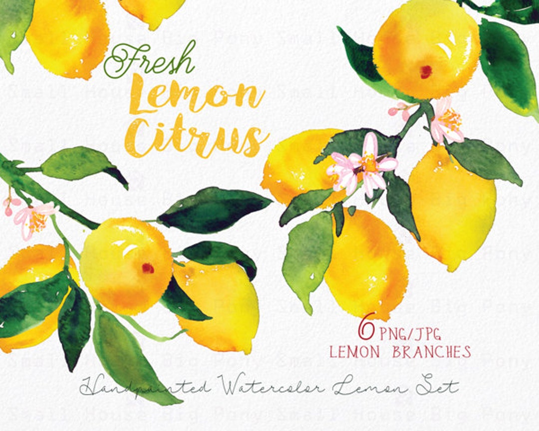 Lemon Watercolour Clipart Set. Handmade, Watercolour Clipart, Summer ...