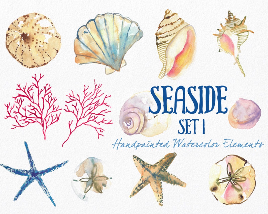 Watercolor Sea Shells Clipart, Instant Digital Download, Hand-painted ...