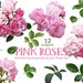 Digital Clipart Pink Flower Clipart, Roses Clip Art, Floral Bouquet ...