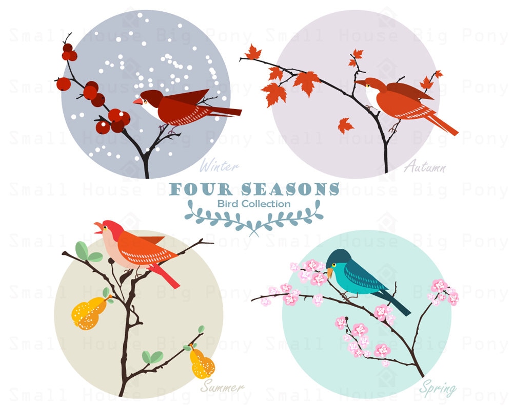Birds Clipart 4 Seasons Clip Art Card Clipart Design Clip - Etsy