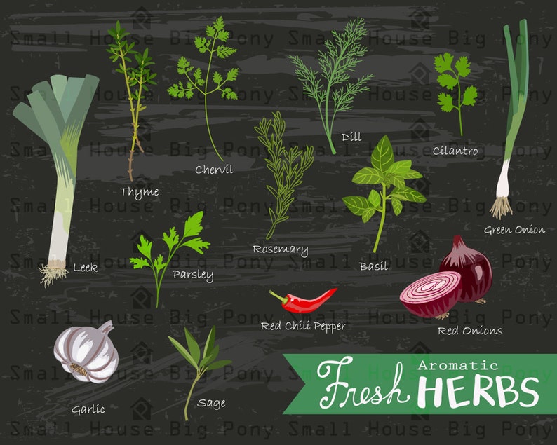 Fresh Herbs Clipart herbs Clip art plants Clipart kitchen | Etsy