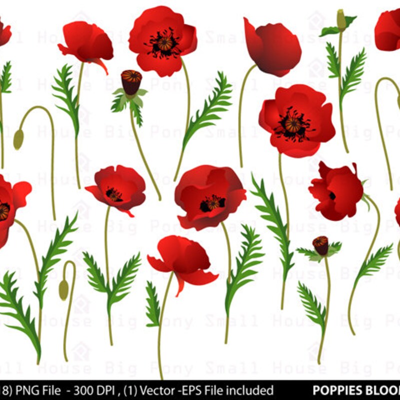 Poppy Clip Art - Etsy