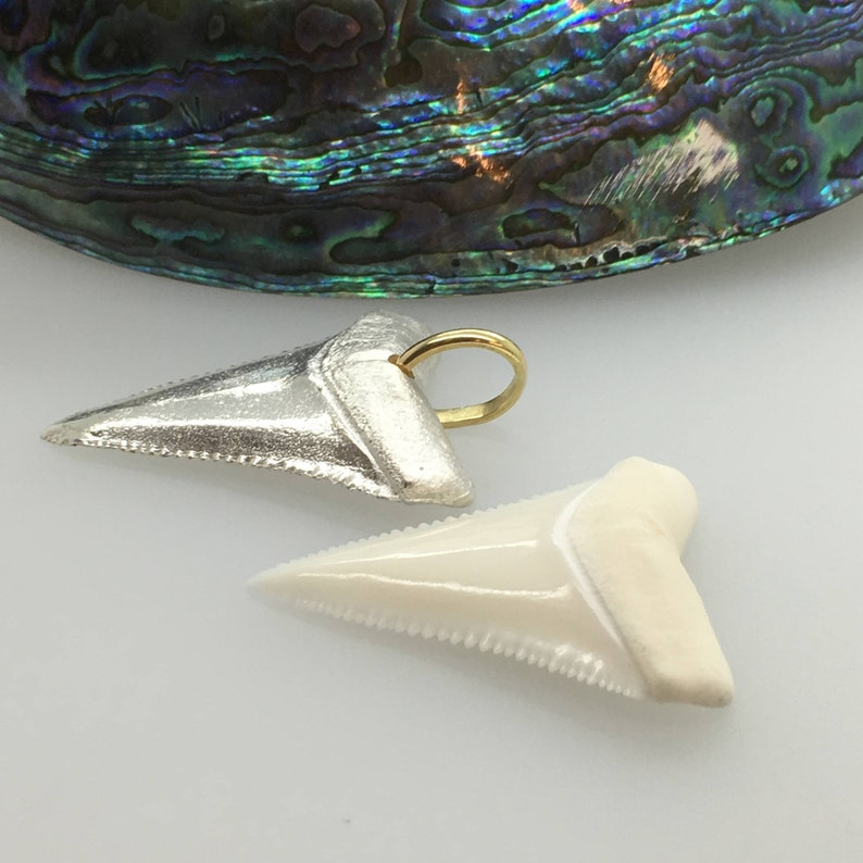 Great White Shark Tooth Necklace Fabulous Handmade Silver & - Etsy UK