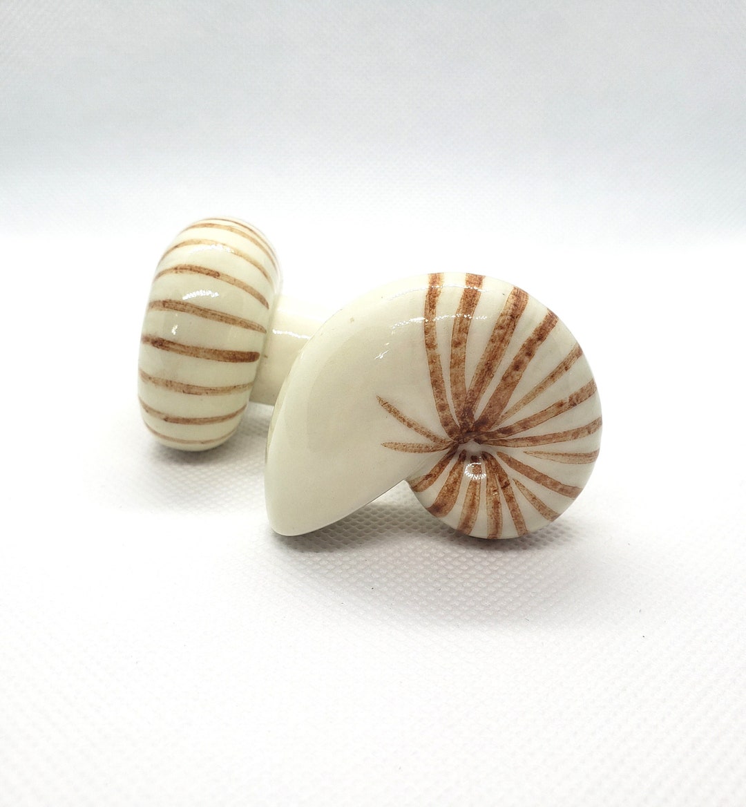 Tiger Striped Nautilus Seashell Ceramic Knob Home Decor Drawer Pull Drawer Knob Cabinet Knob ...
