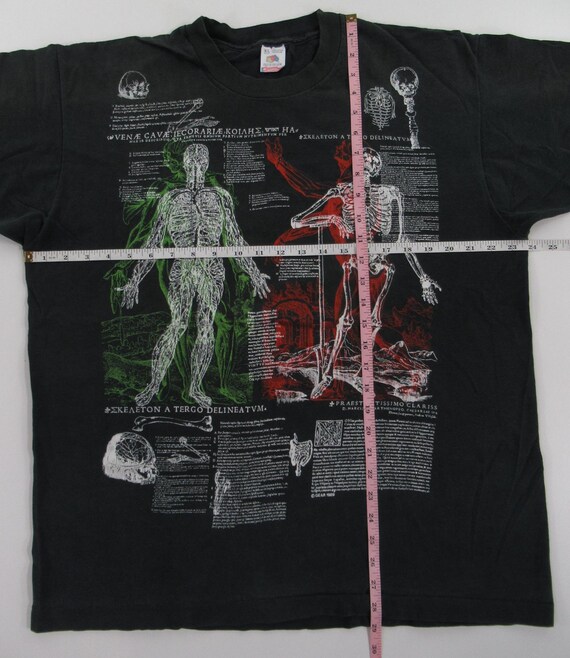 Vintage 80s Anatomical Skeleton Anatomy Latin Single … - Gem