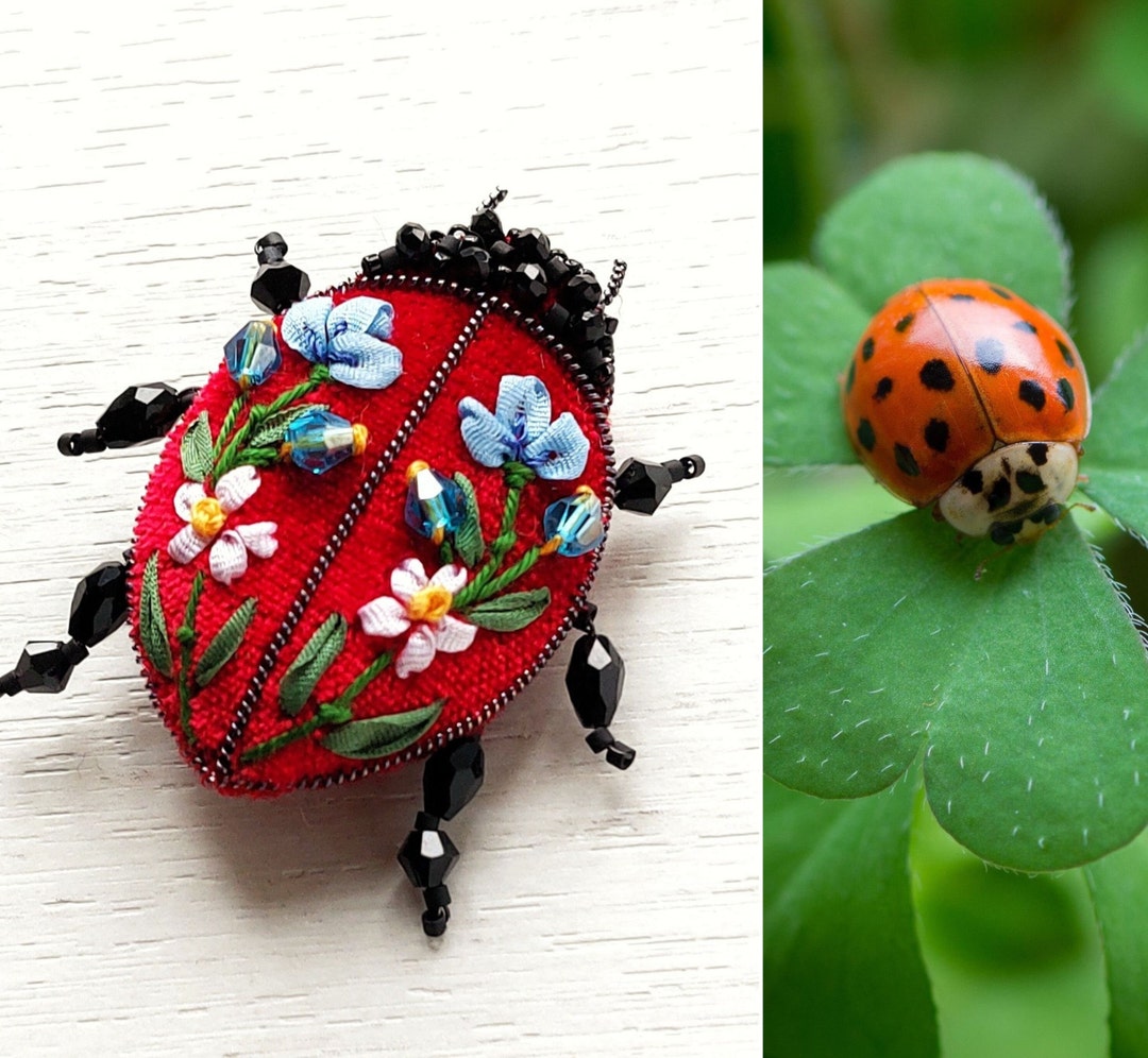 Lady Bug Brooch for Women Insect Jewelry Pin Beetle Brooch Bug Jewelry ...