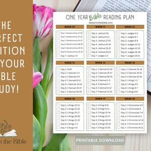 Read the Bible in a Year Chart, Traditional Bible Reading Plan ...