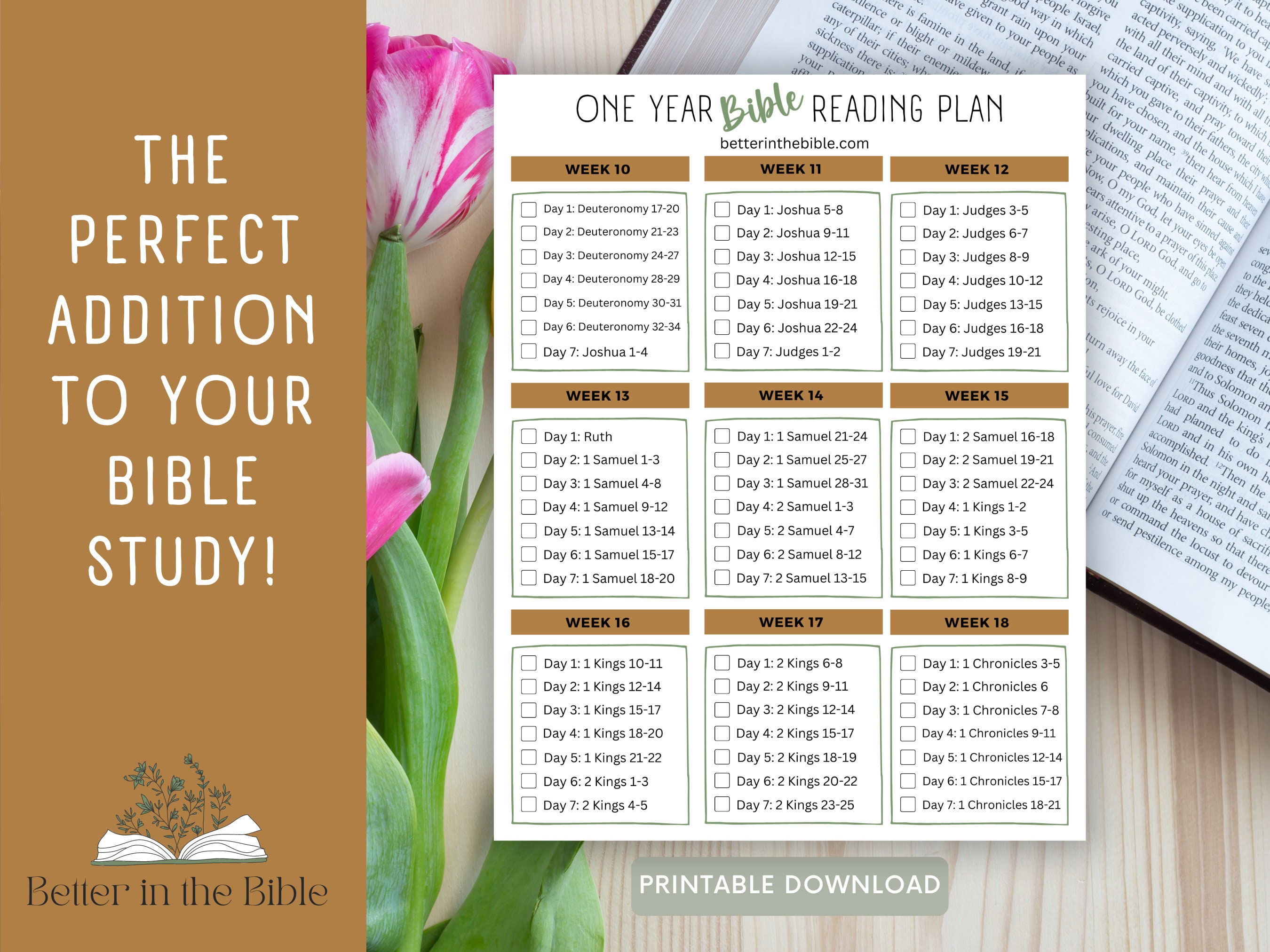 Read the Bible in a Year Chart, Traditional Bible Reading Plan ...