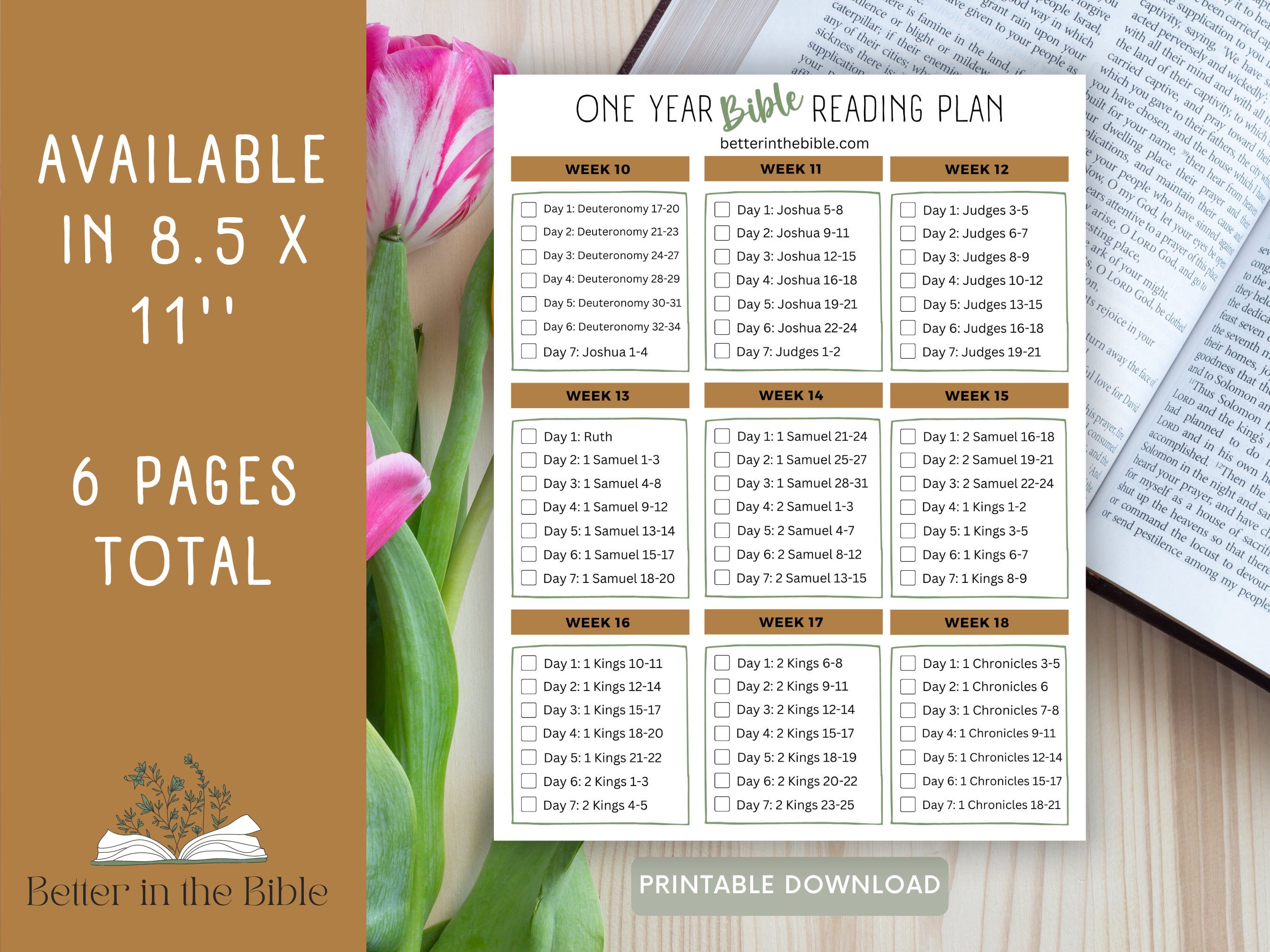 Read the Bible in a Year Chart, Traditional Bible Reading Plan ...