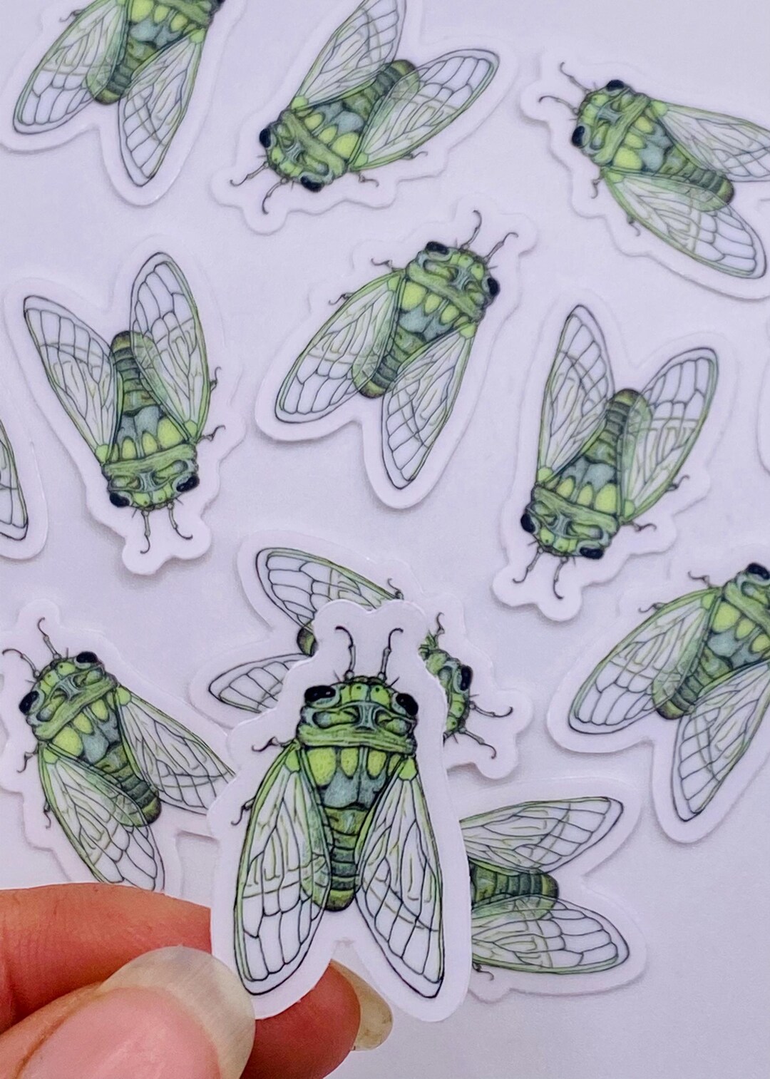 12 Pk Mini Cicada Clear Bumper Stickers - Etsy