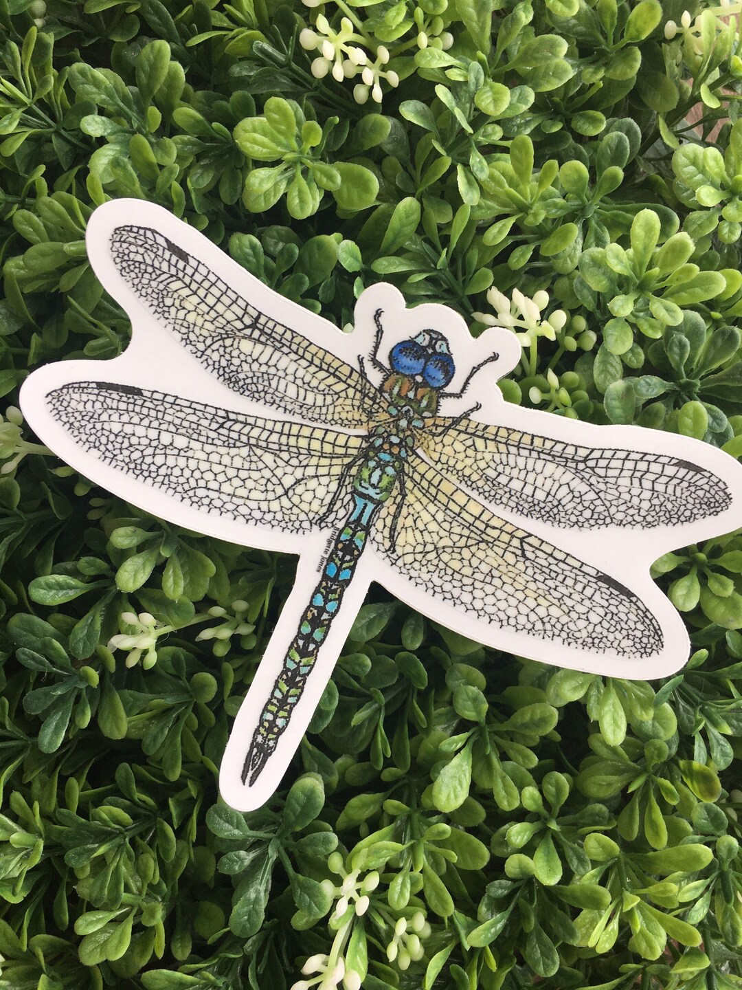4 Clear Vinyl Dragonfly Bumper Stickers - Etsy