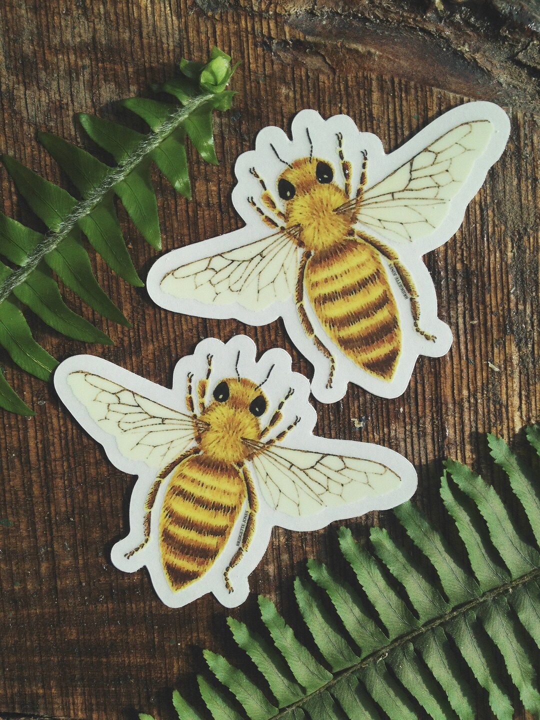 4 Pack Honey Bee Bumper Stickers - Etsy