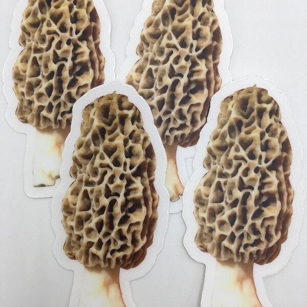 Morel Mushroom Stickers - Etsy