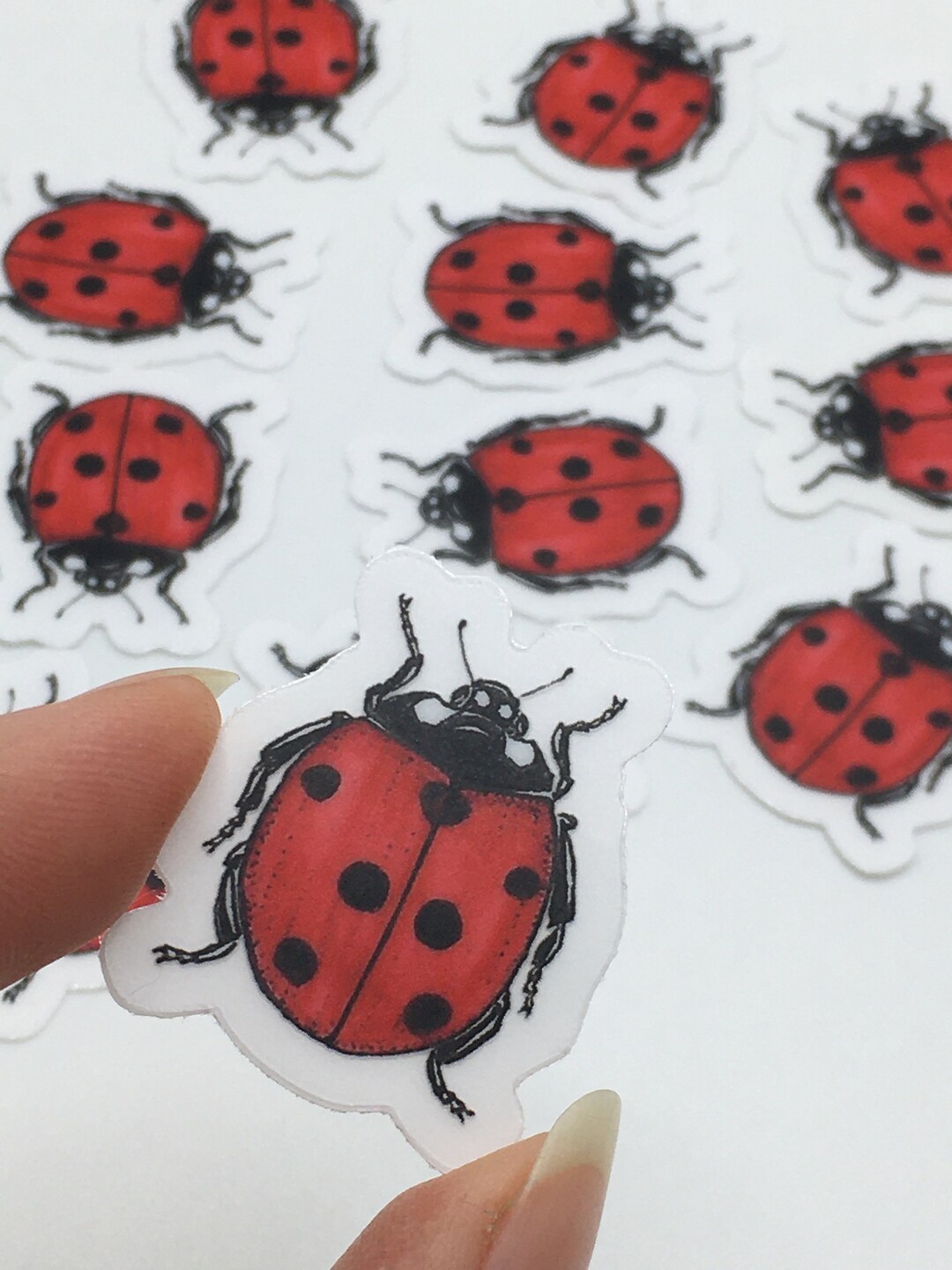 12 Clear Mini Lady Bug Stickers - Etsy