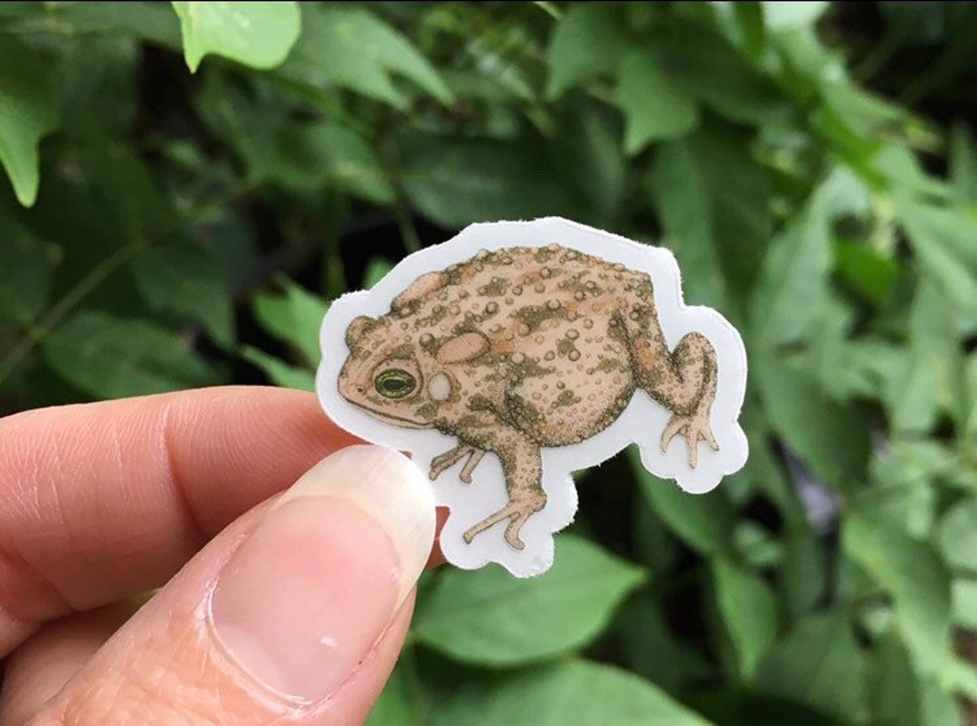 Tiny Toad Bumper Stickers Set of 12 - Etsy