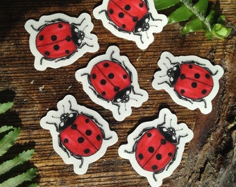 Lady Bug Stickers | Etsy