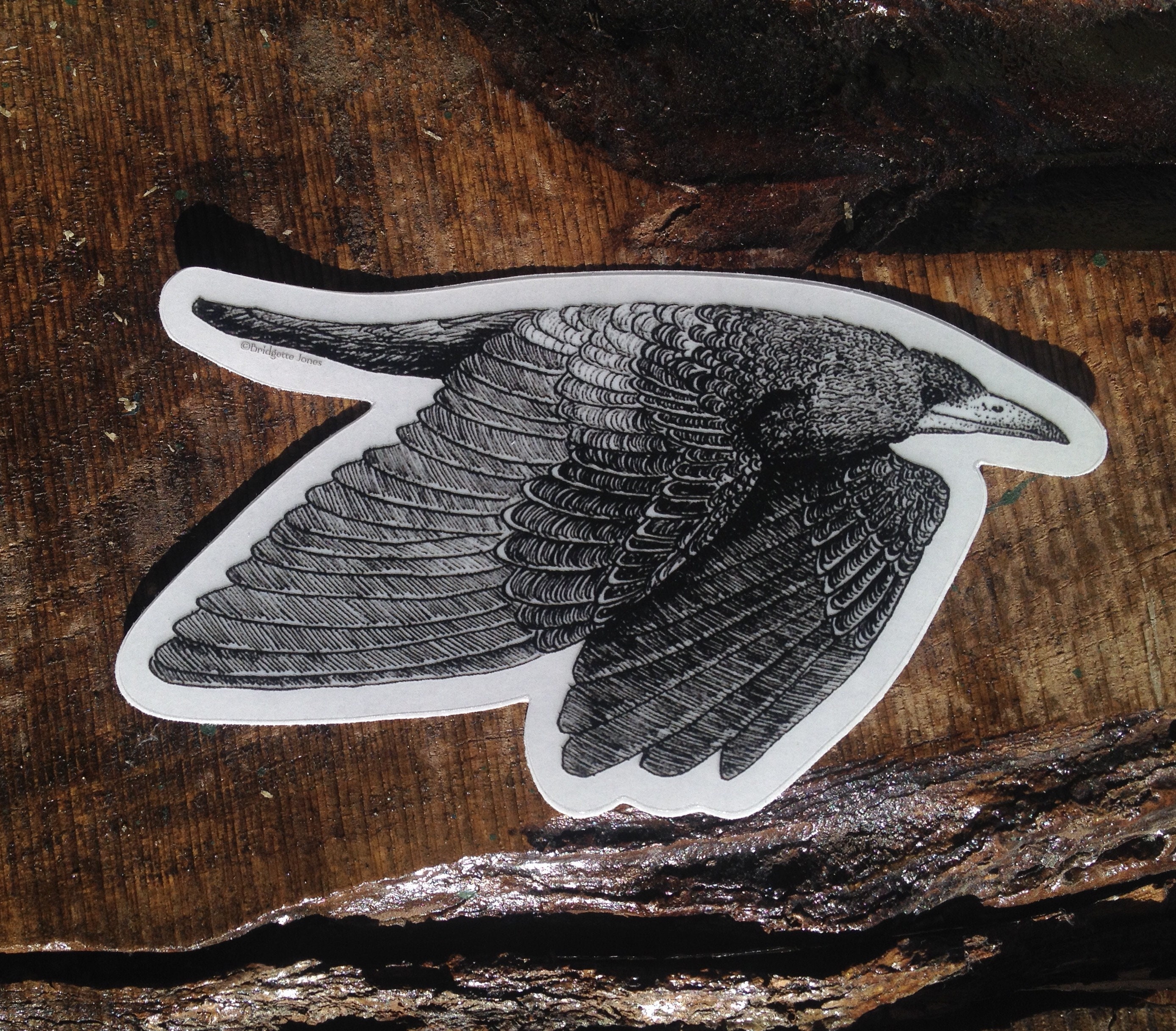 Rook/ Crow/ Raven Decal Sticker Clear Vinyl | Etsy