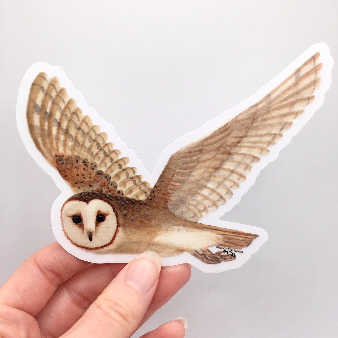Barn Owl Bumper Sticker, Clear Vinyl - Etsy
