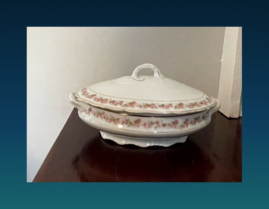 Limoges Oval Lidded Vegetable Serving Dish - Etsy