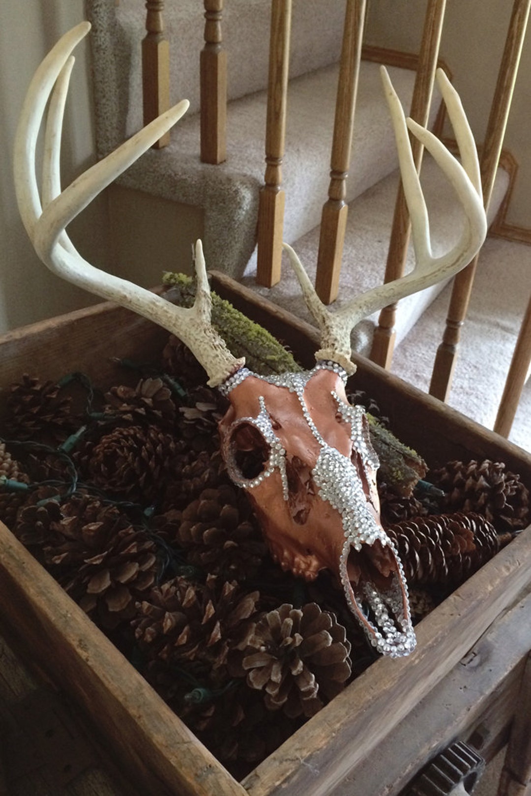 Deer Skull / Rhinestone / European Mount / Rustic Home Decor (*PRICE ...