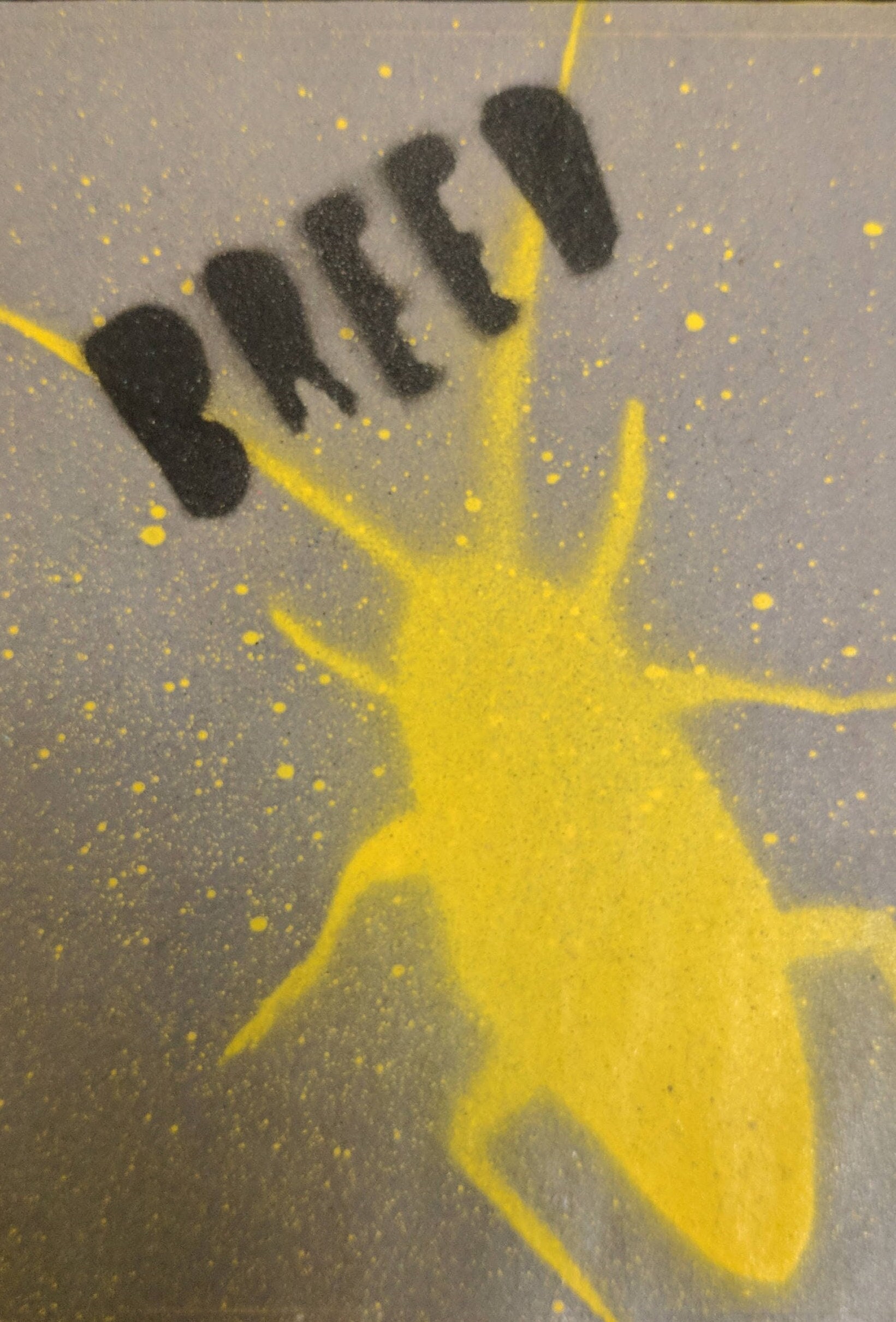 Cockroach Sticker breed Handmade Stencil Design by Brett Stout photo ...