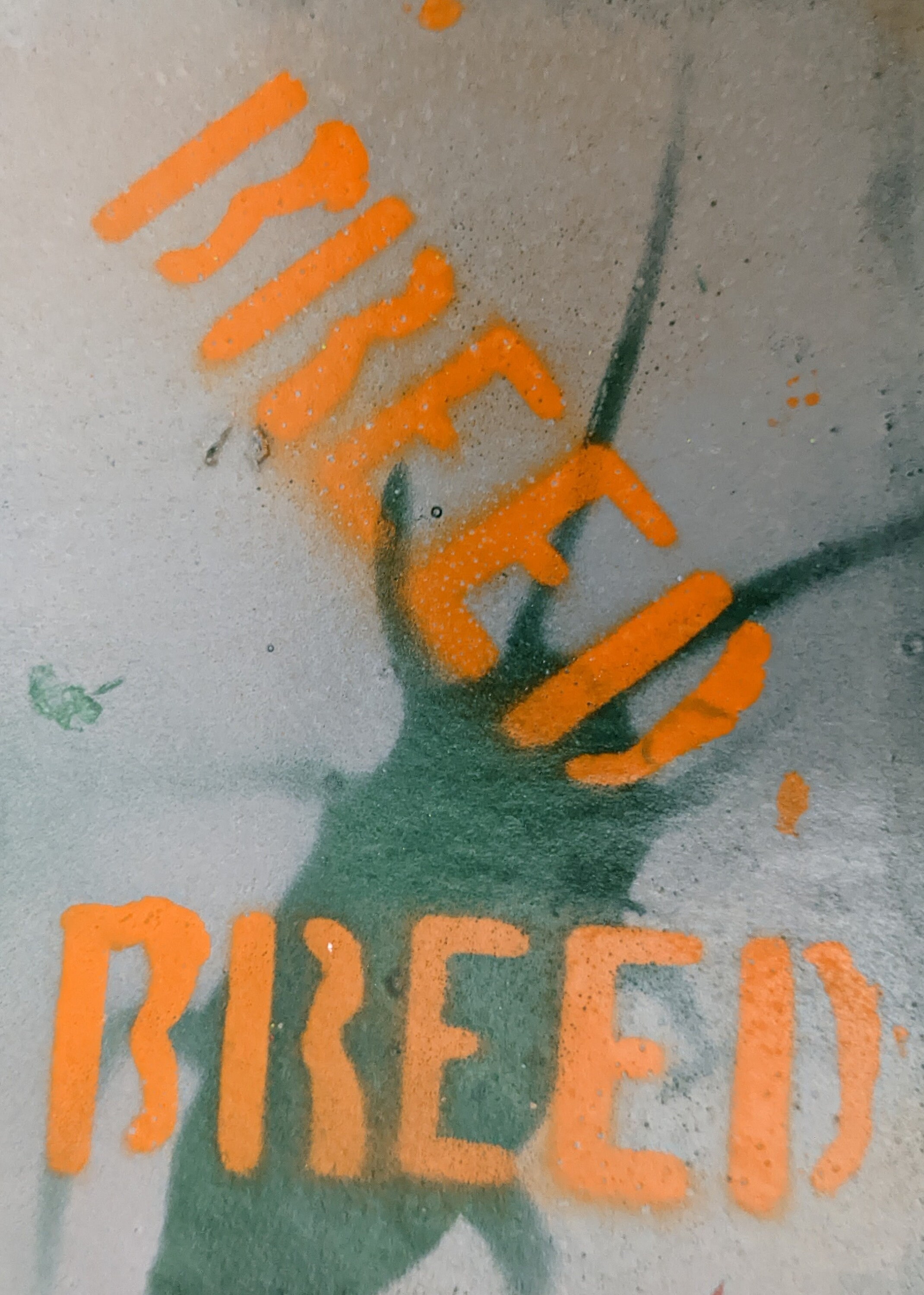 Cockroach Sticker breed Handmade Stencil Design by Brett Stout photo ...