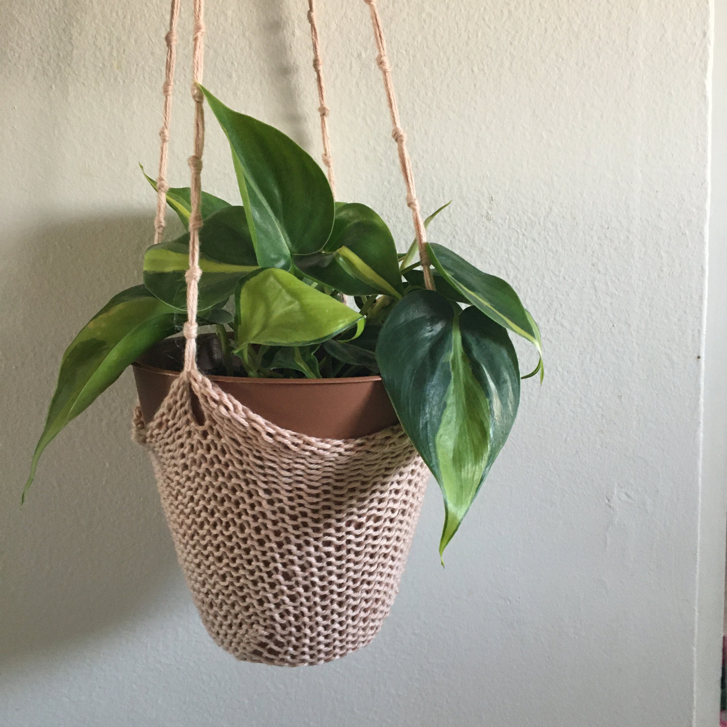 Knit Plant Holder PDF Knitting Pattern Plant Cozy Pattern | Etsy