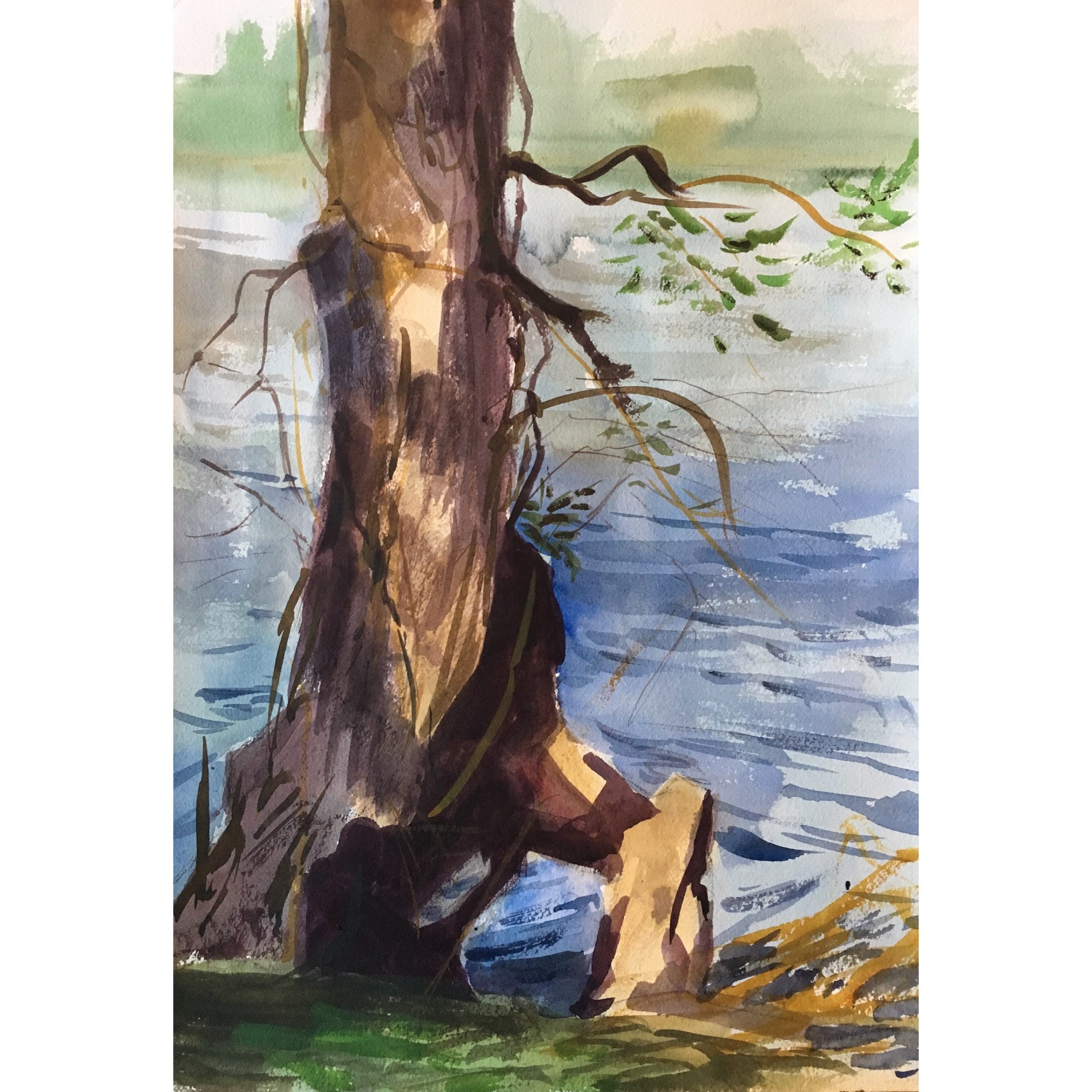 Original Watercolor Paintings, Tree Along River Bank Painting ...
