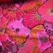 Lotus Leaf GP29 Wine Kaffe Fassett Collective for Free Spirit - Etsy