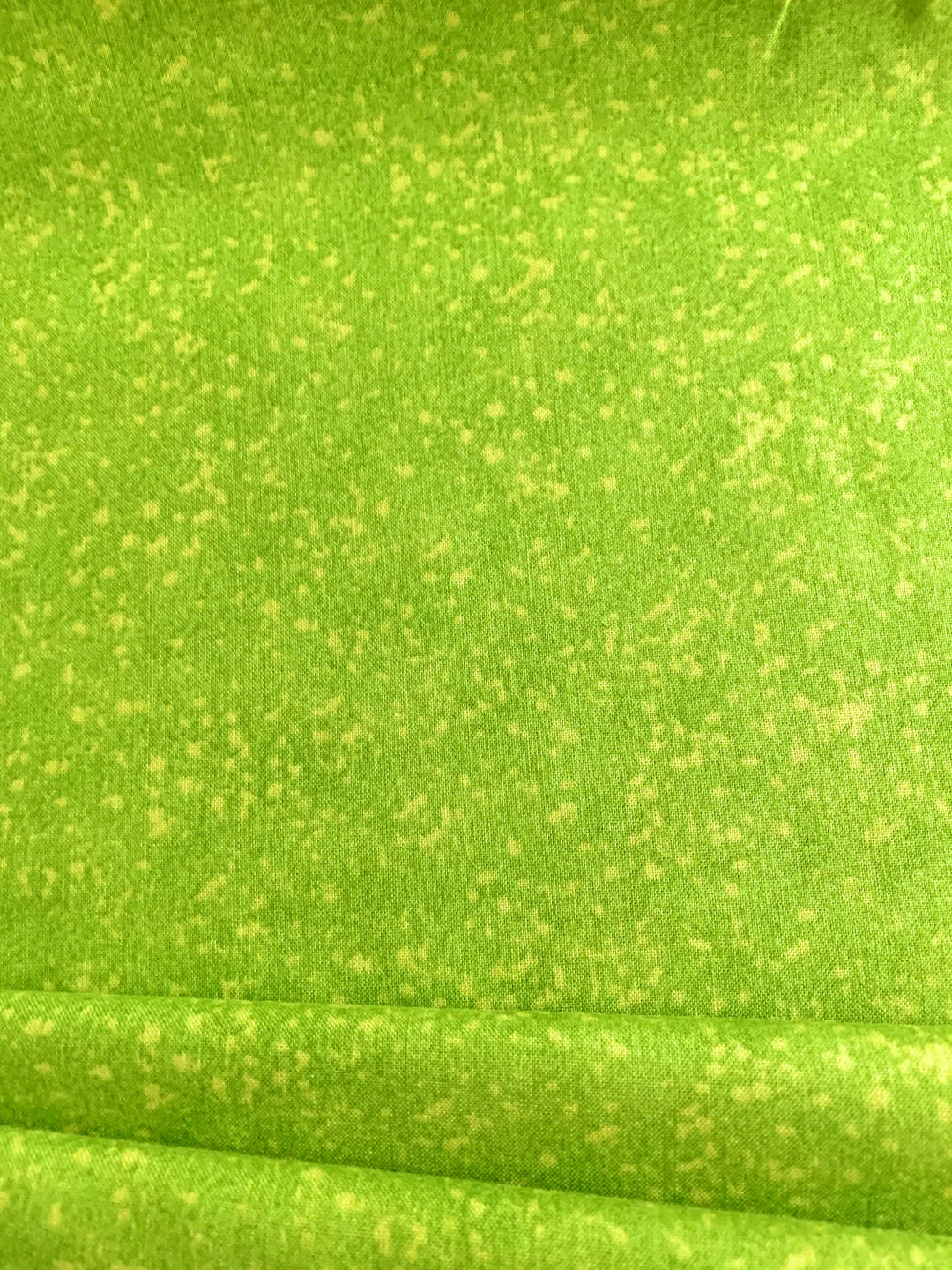 Eek Monster E60-1366 Green Texture Studio E Fabrics - Etsy
