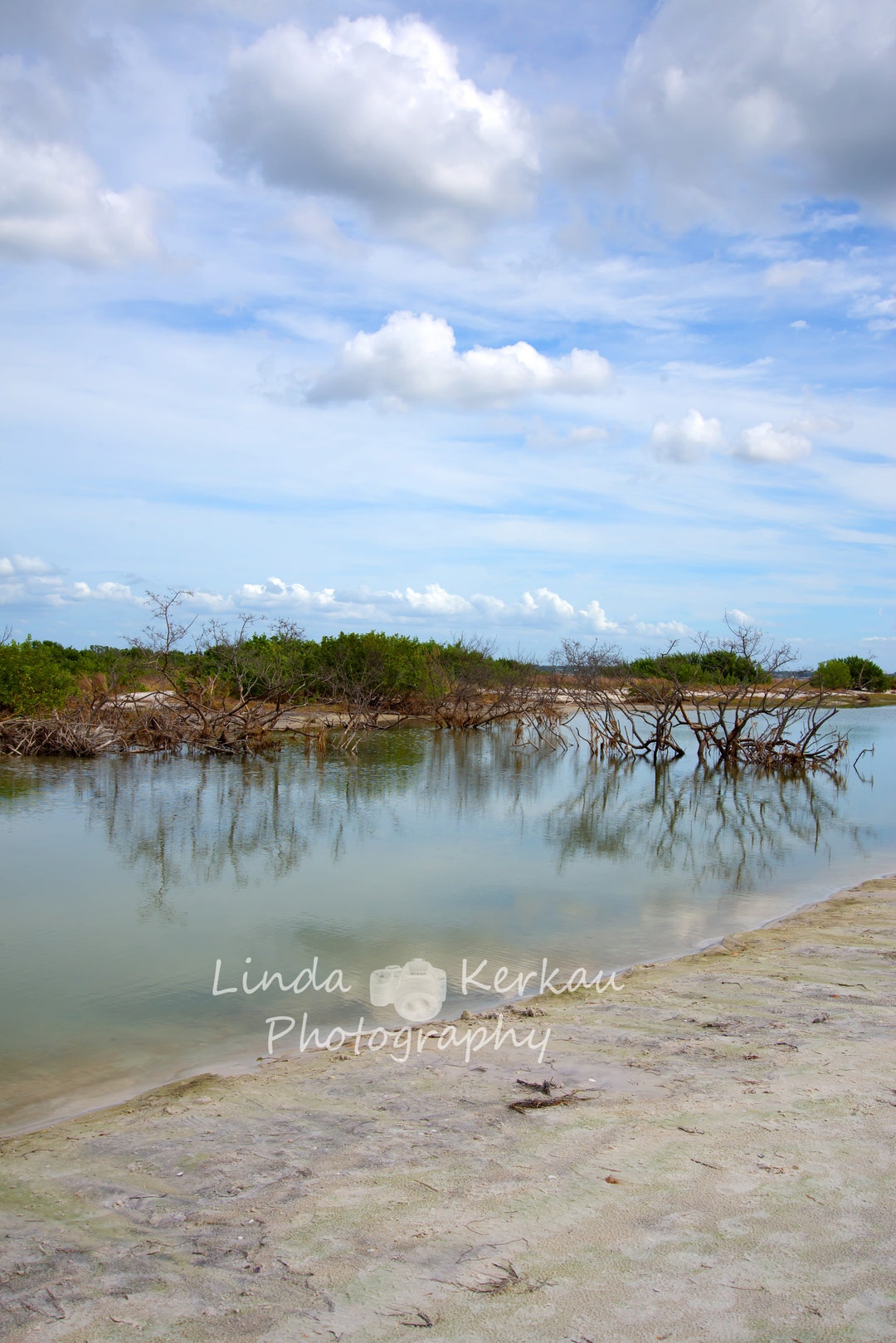 Tide Pool on the Gulf of Mexico in Florida - Etsy