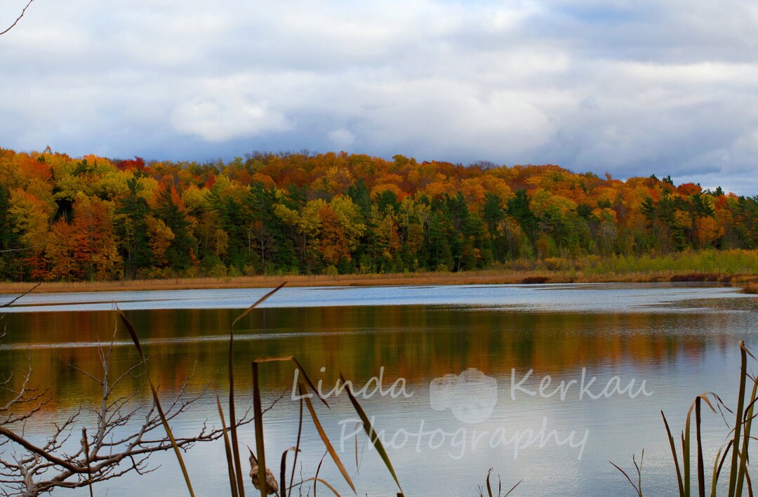 Fall Colors in the Upper Peninsula - Etsy