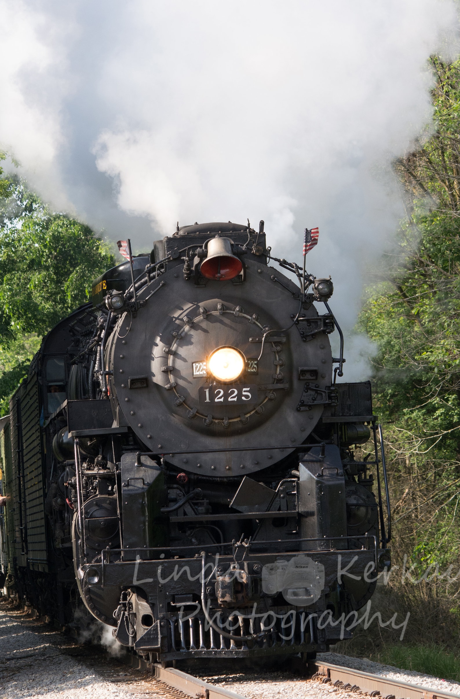 Steam Engine Train in Michigan - Etsy