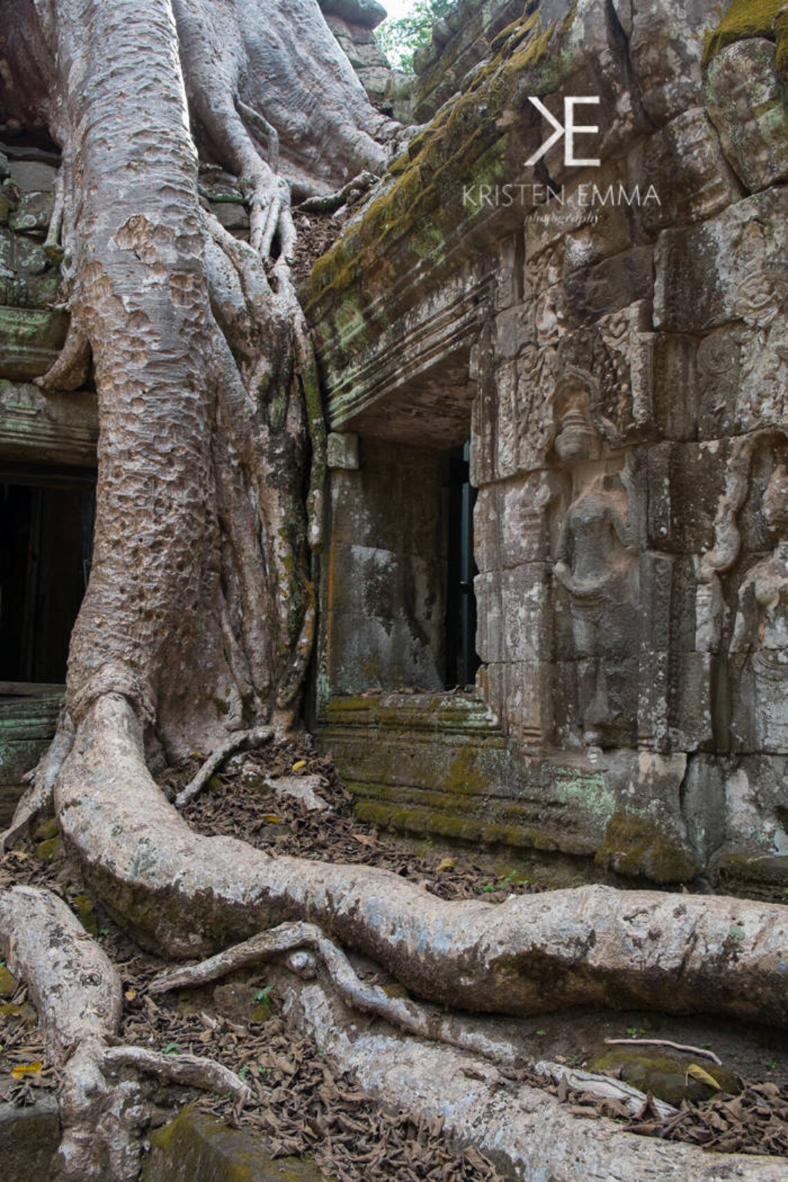 Angkor Wat Ruins Diptych: Ta Prohm Temple Roots Art Print - Etsy