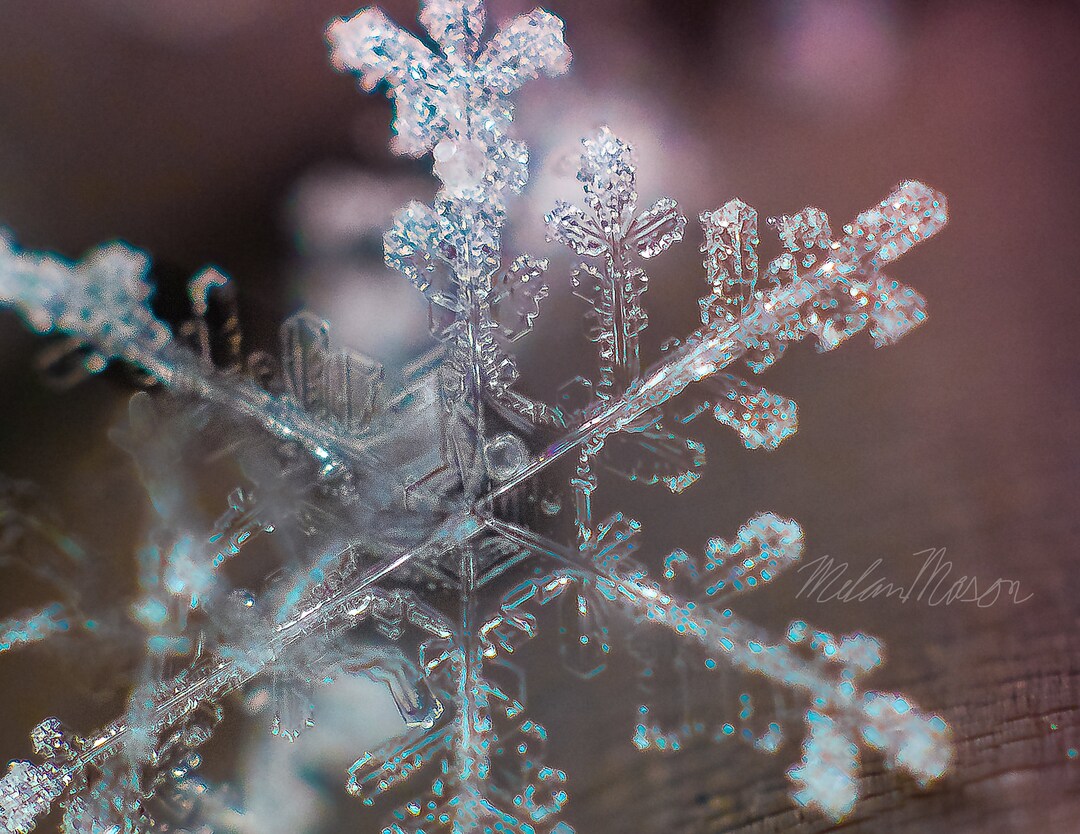 Snowflake Macro Photo Digital Download - Etsy