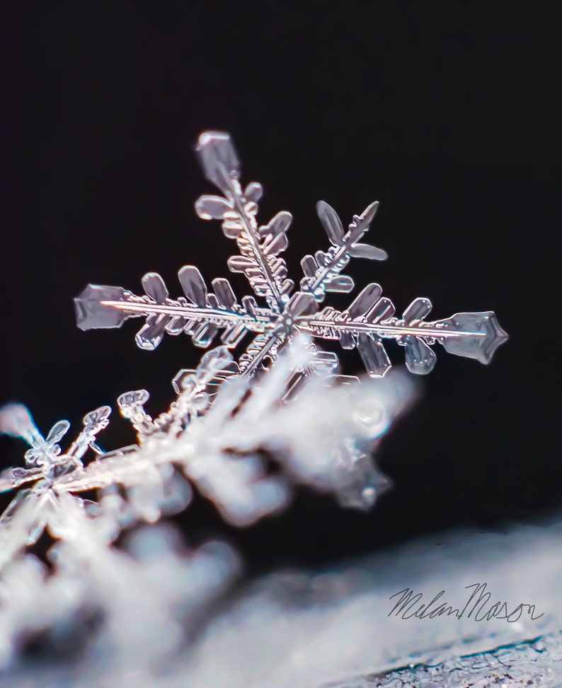 Snowflake 2 Macro Photo Digital Download - Etsy