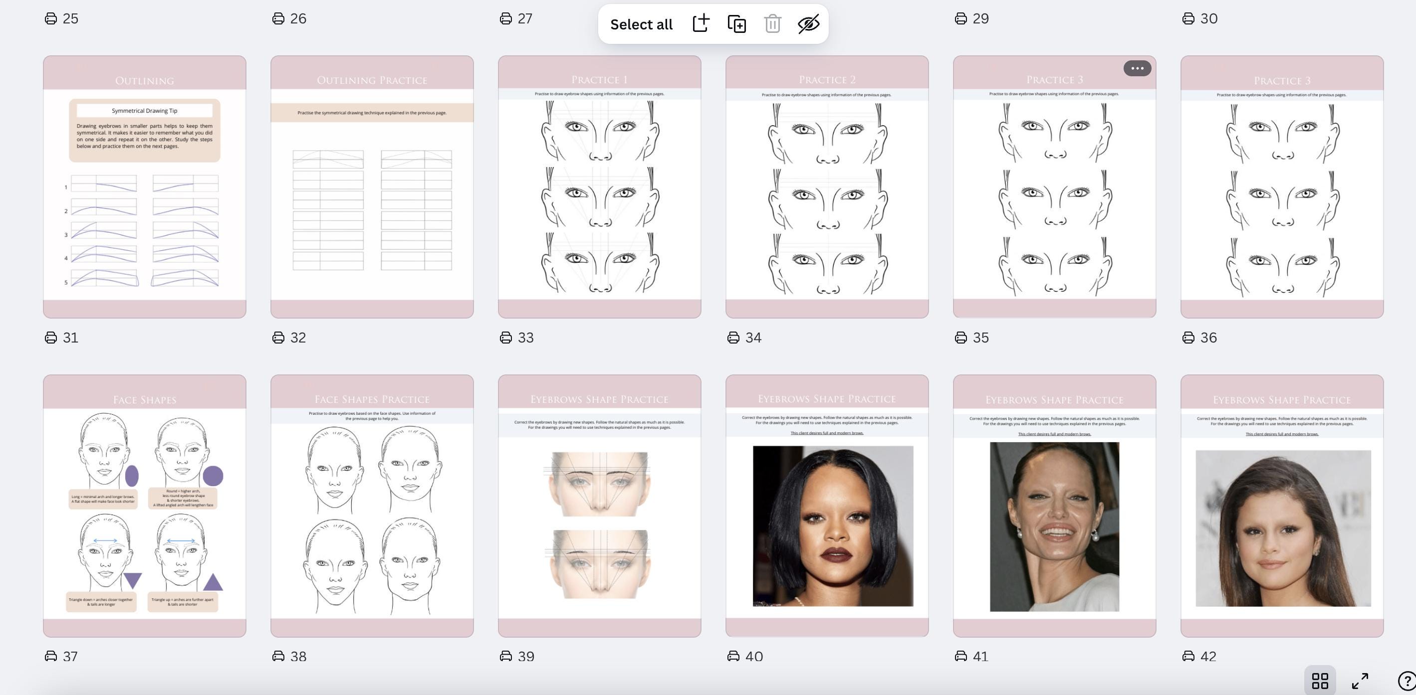 Fundamentals Micropigmentation Manual Work Book Training Canva TEMPLATE ...
