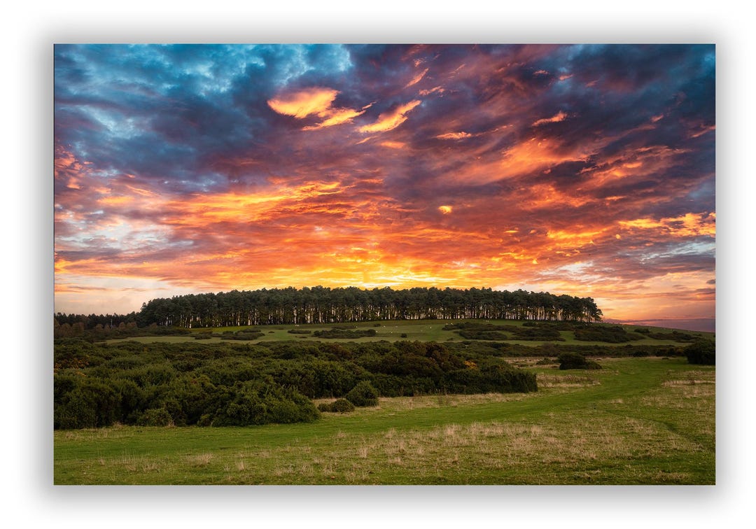 Braveheart Hill, the Curragh, Kildare Wall Art, Print - Etsy