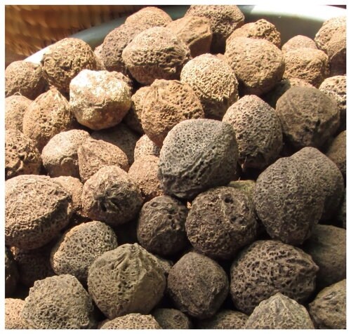 Obi Edun Monkey Kola - Etsy