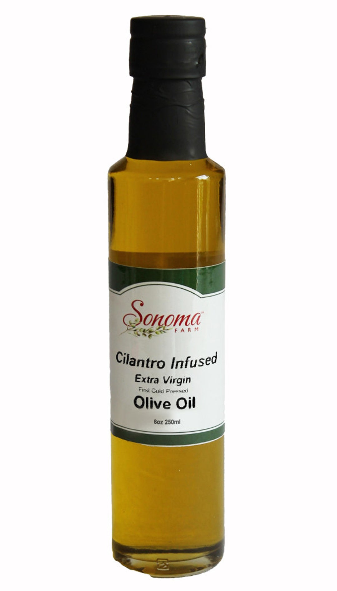Cilantro Infused Olive Oil 8.5 Oz 250ml - Etsy